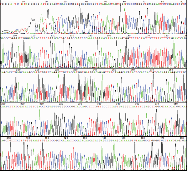 Presto™ Mini Plasmid Extraction Kit - DNA Cloning Service