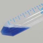 Presto™ Mini Plasmid Extraction Kit - DNA Cloning Service